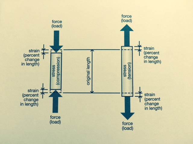 Why Early Decisions Have the Greatest Impact
