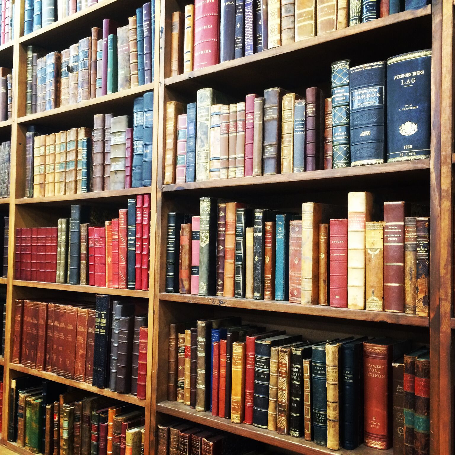 29 of the Most Gifted and Highly Recommended Books